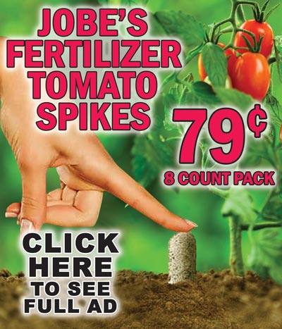 Jobe's Tomato Fertilizer Spikes 79 cents an 8 pack